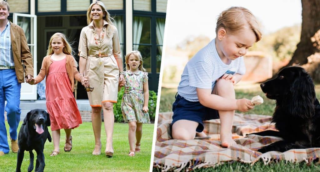 Conoce a los perros de la realeza - Revista Velvet