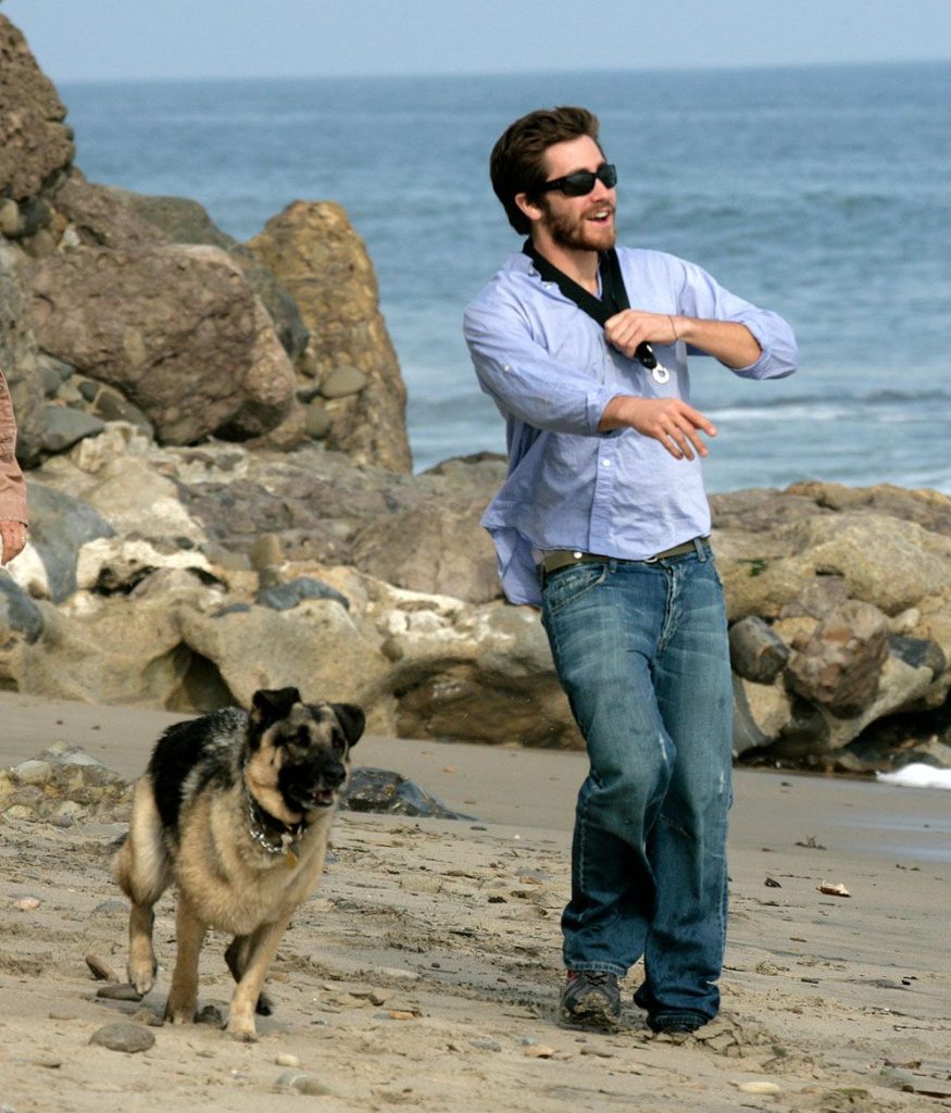 Conozca los nombres de las mascotas de las estrellas de Hollywood ...