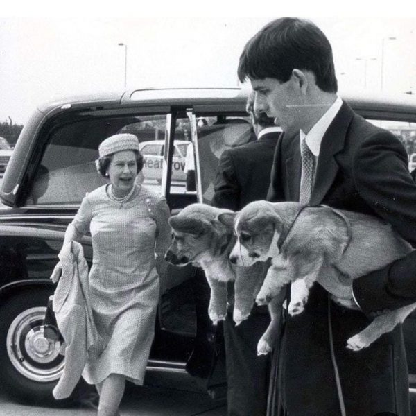 Tall Paul, el sirviente más leal y que veía TV con la reina - Revista ...