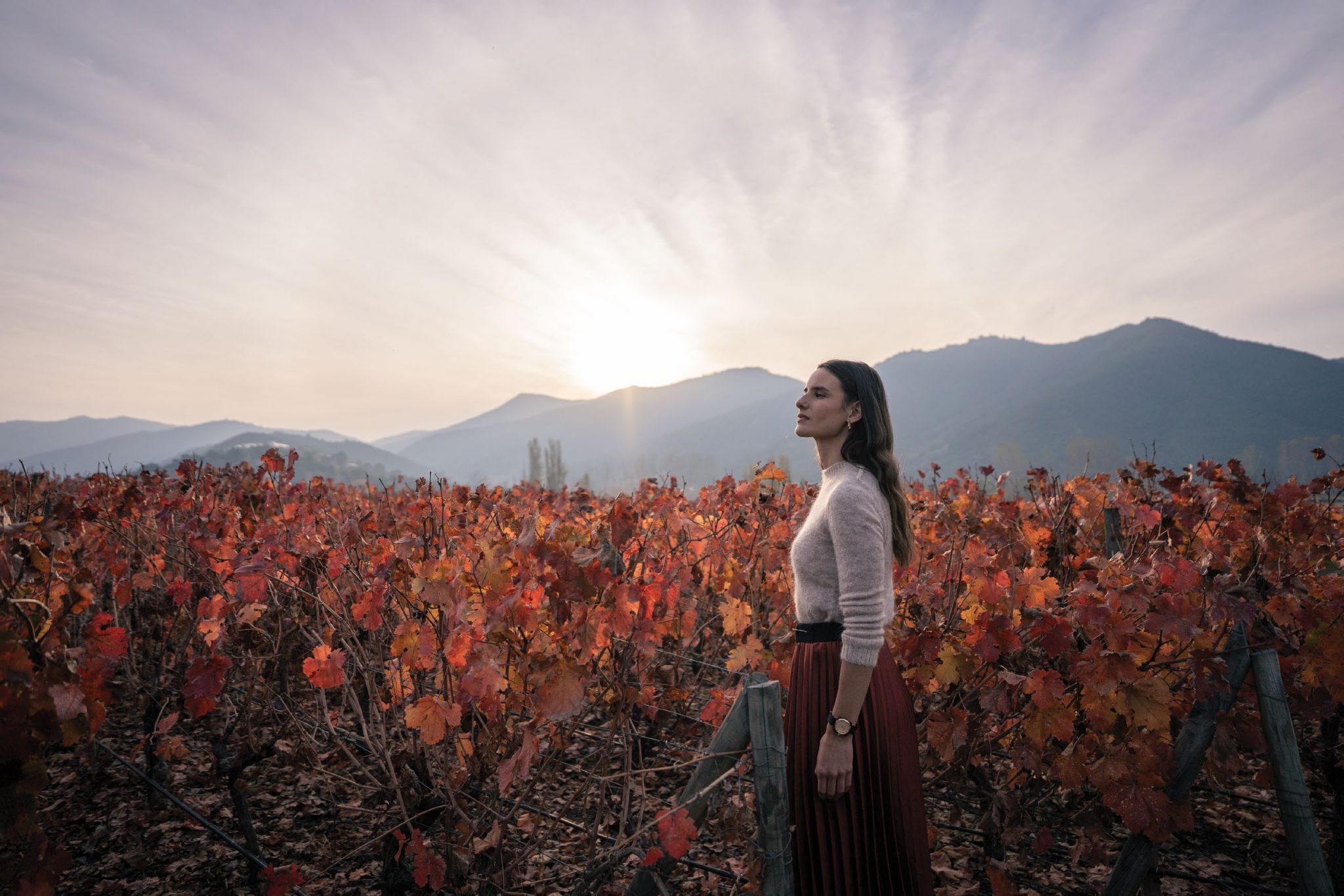 VIK, la mejor viña chilena del World's Best Vineyards 2023 - Revista Velvet