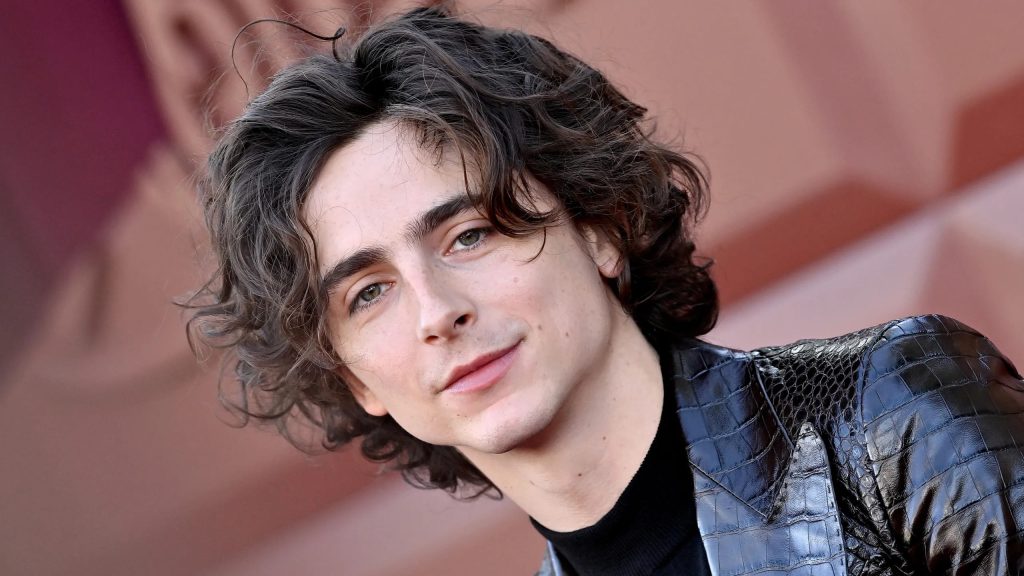 Timothée Chalamet reacciona al vídeo viral de su doble - Revista Velvet